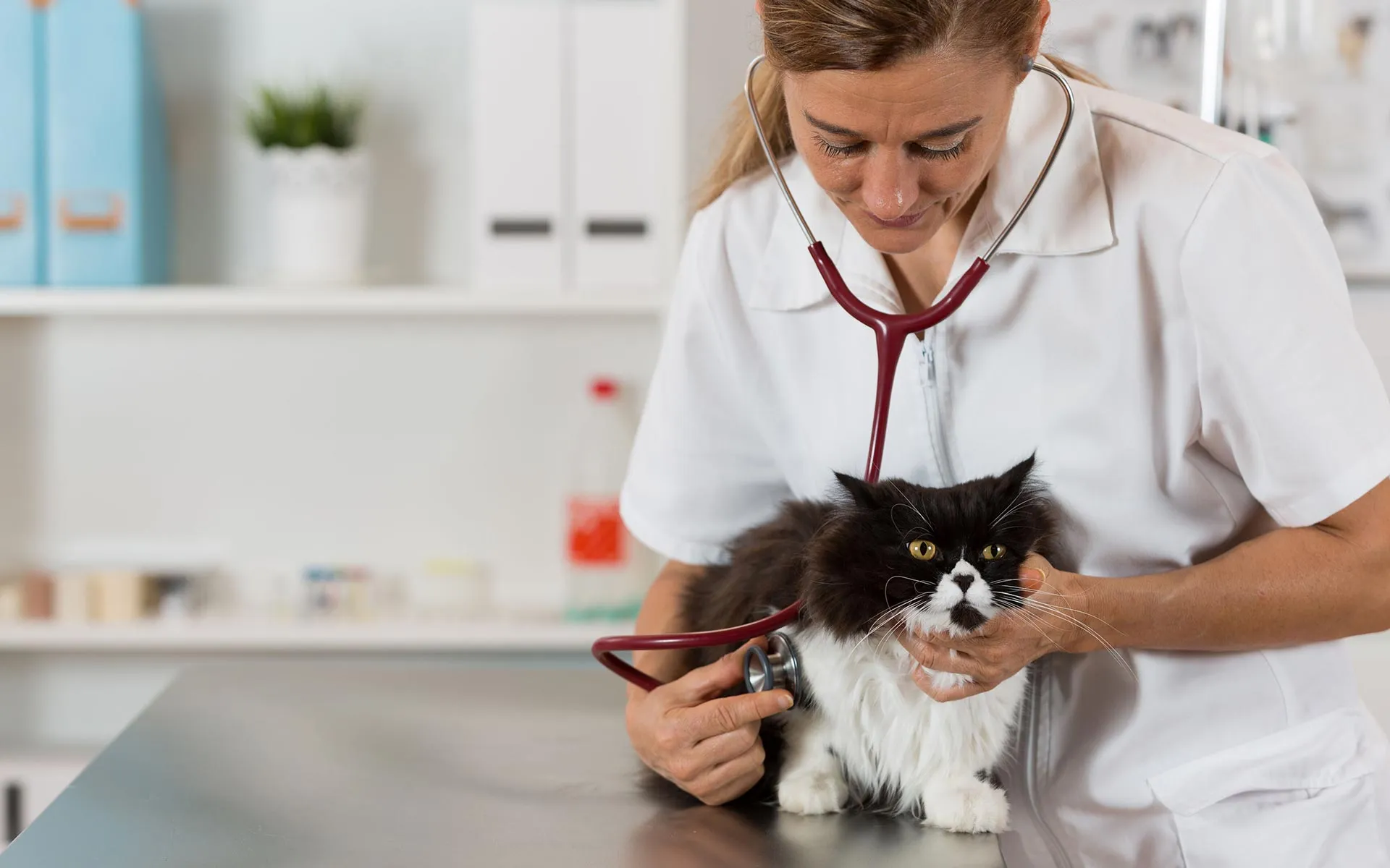 Alpha Veterinary Center Client Reviews