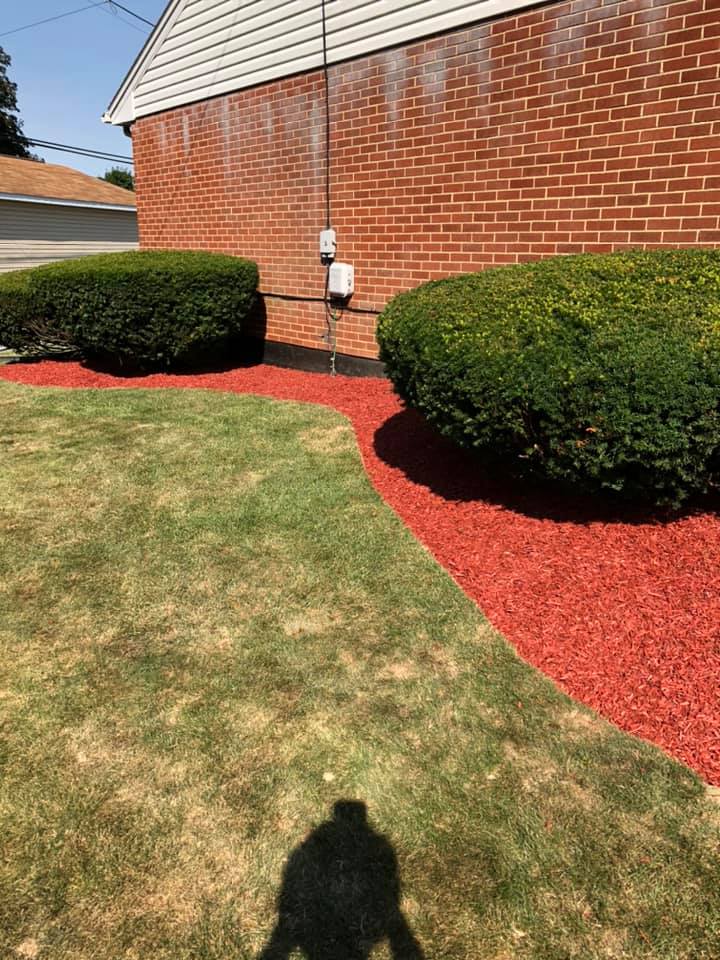 Reviews | Green Tree Property Care & Maintenance